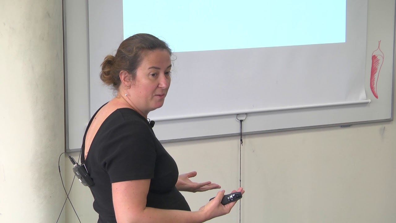 Rachel Jolin Dubois - Cadrage agile ux d'un produit: du concept aux US ...