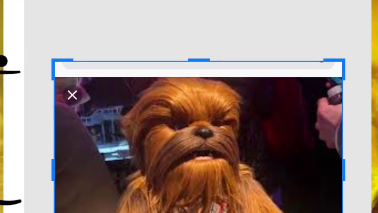 Facts about Chewbacca - YouTube