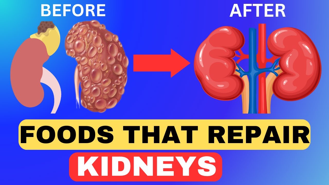 10 NATURAL Must-EAT Foods That Help Repair Your Kidneys - YouTube