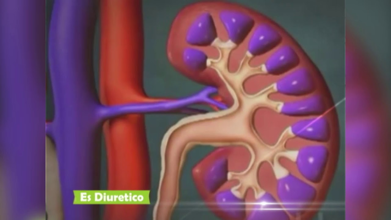 Lo mejor para tus riñones | RIÑOVIT - YouTube