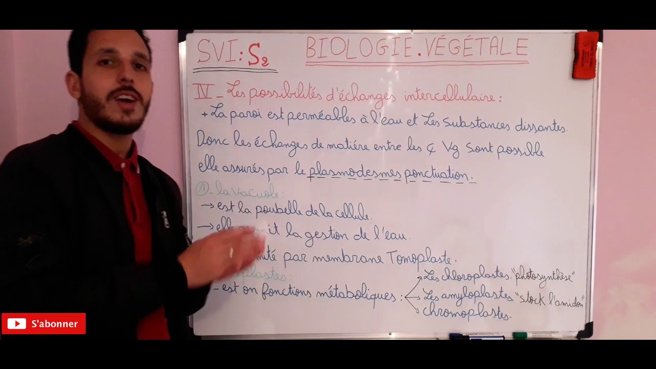 COURS 2 : BIOLOGIE VÉGÉTALE=les Cormophytes très important شرح مبسط و ...