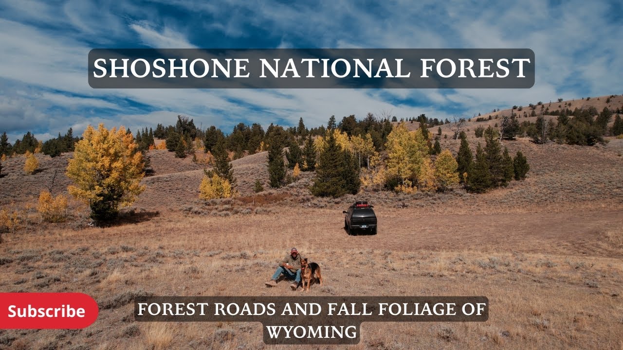 Shoshone National Forest, Wyoming - Forest Roads And Fall Foliage - YouTube
