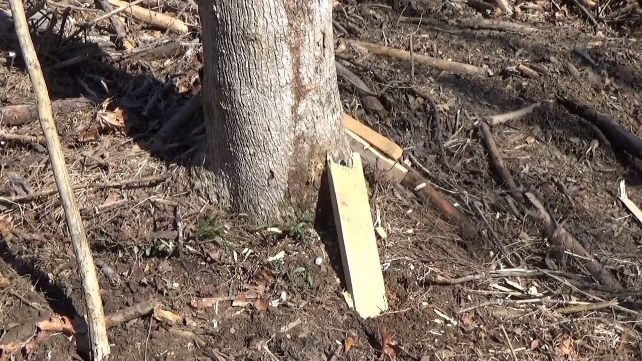 12 gauge vs. 2x4 - YouTube