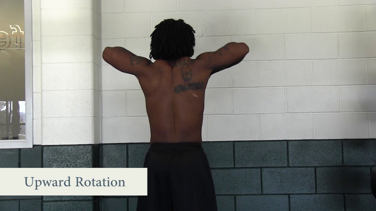 Scapular Upward Rotation - YouTube