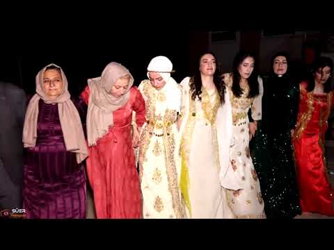 Hakim + Merve Kına Töreni Part 2 Habisbini Aşireti