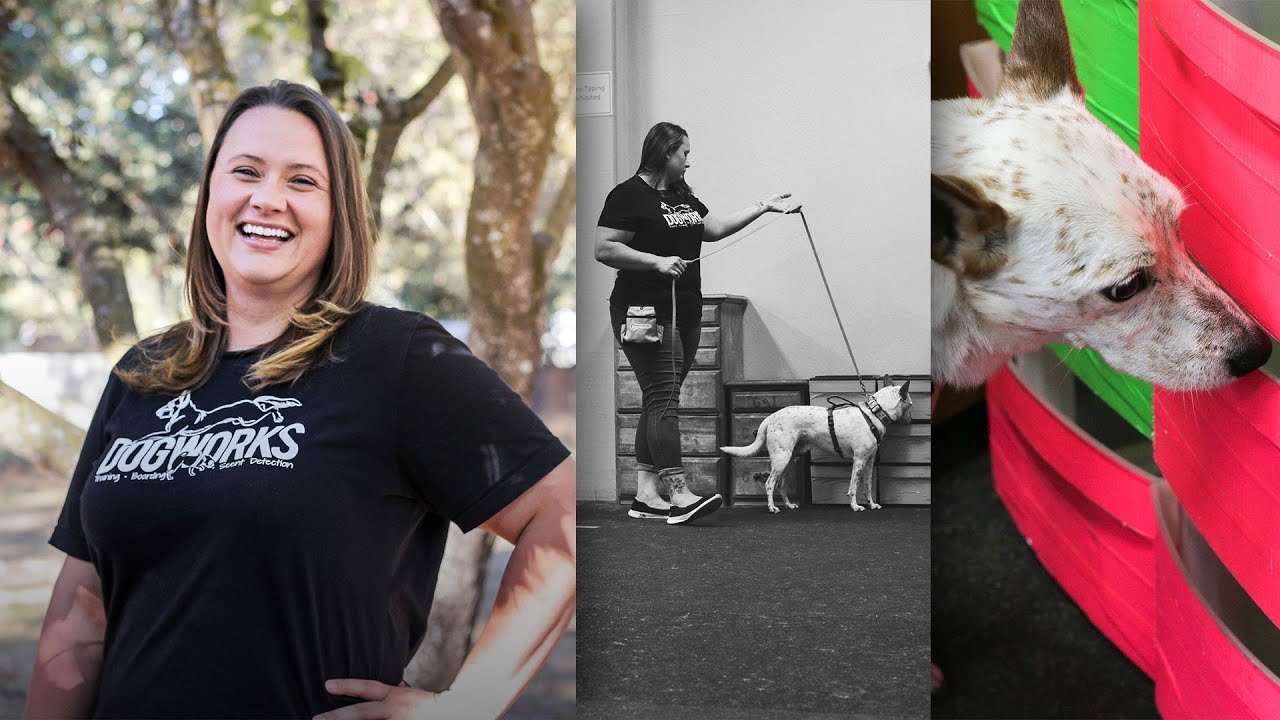 The Foundation of Sport Detection - YouTube