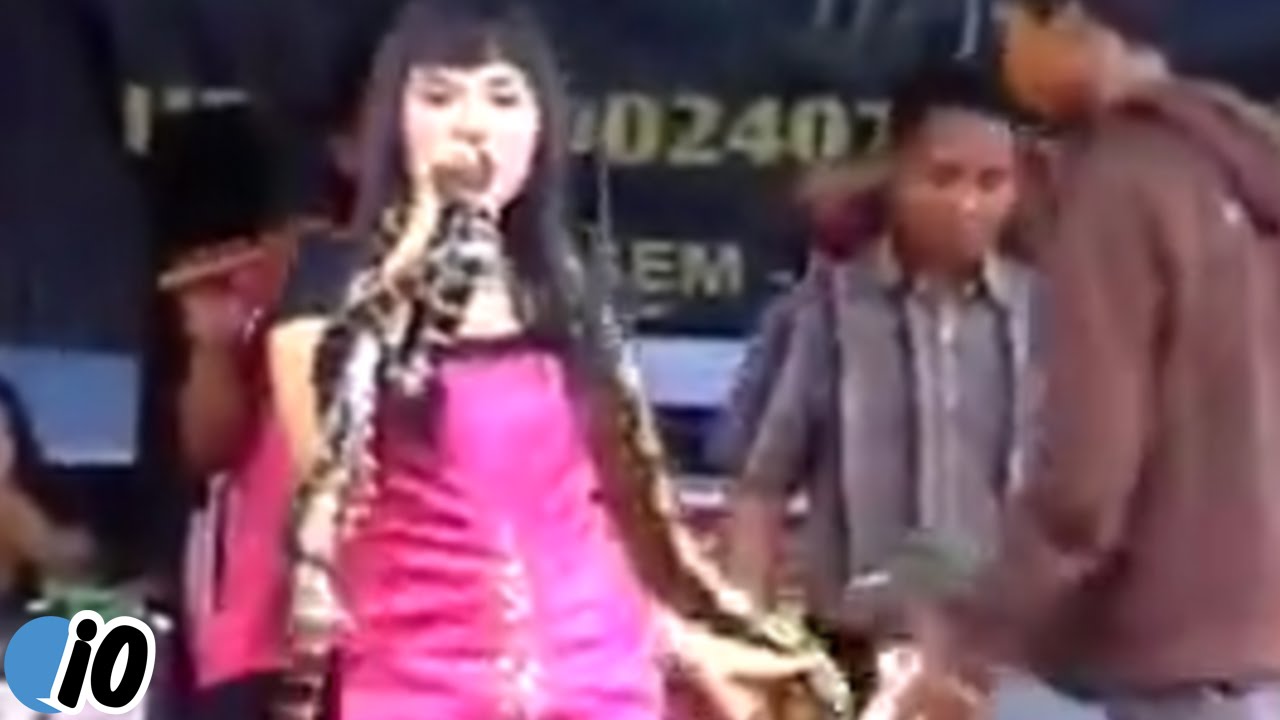 Singer Bitten By A Snake During Performance Dies - YouTube