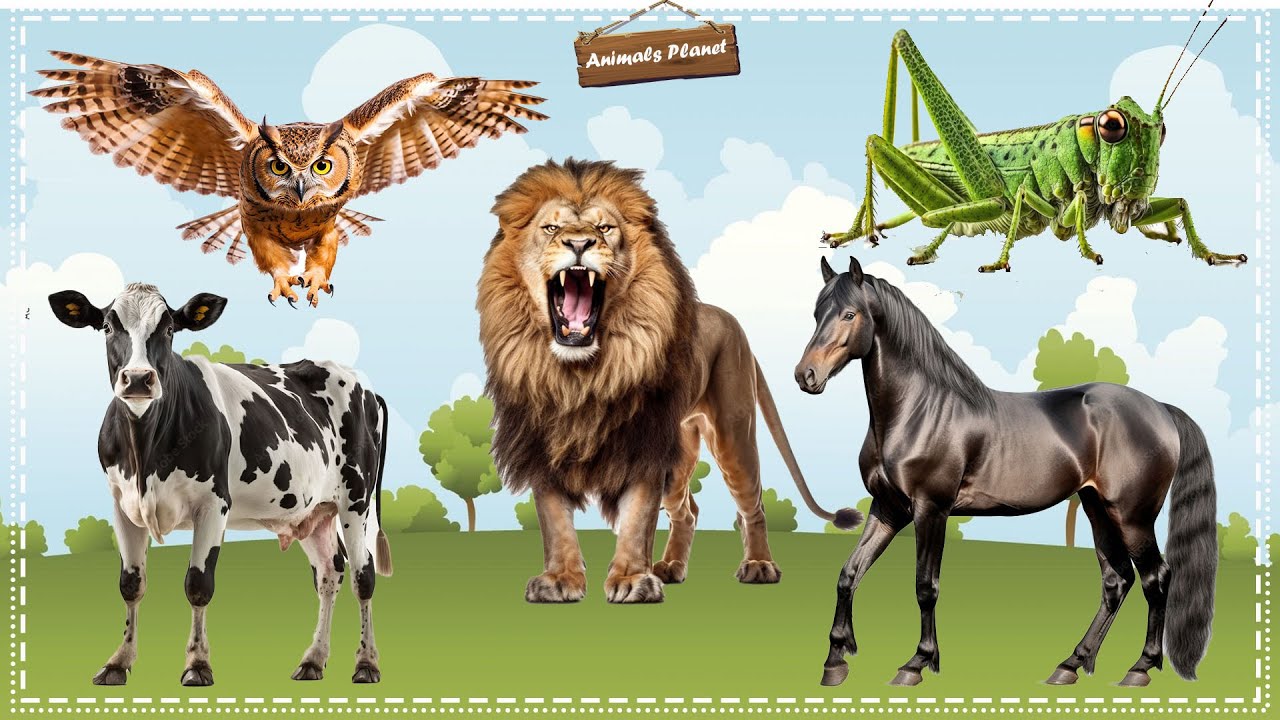 Discover the Fascinating World of Animal Sounds: Grasshopper, Horse ...