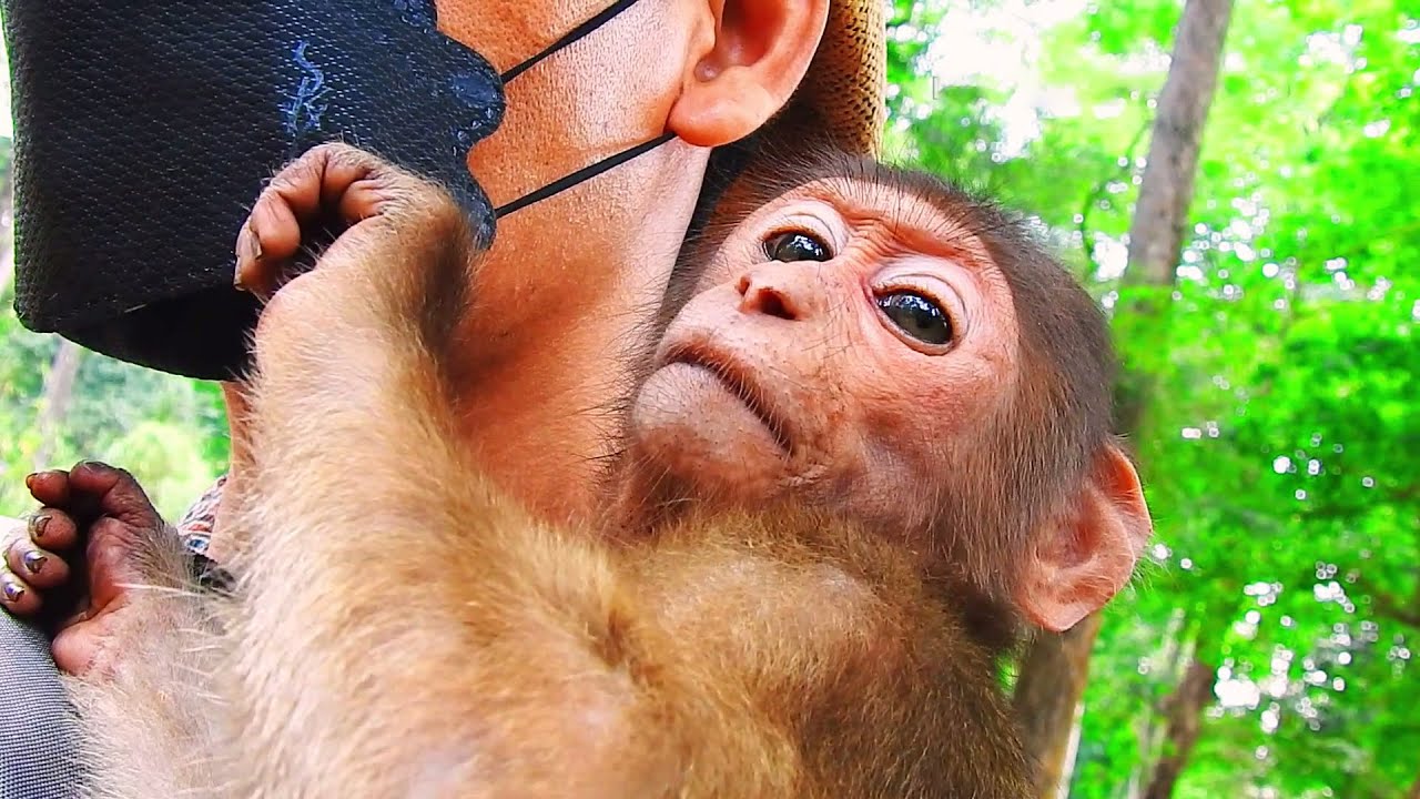 😃It's an amazing day for me and adorable monkey Balou _ He is friendly ...