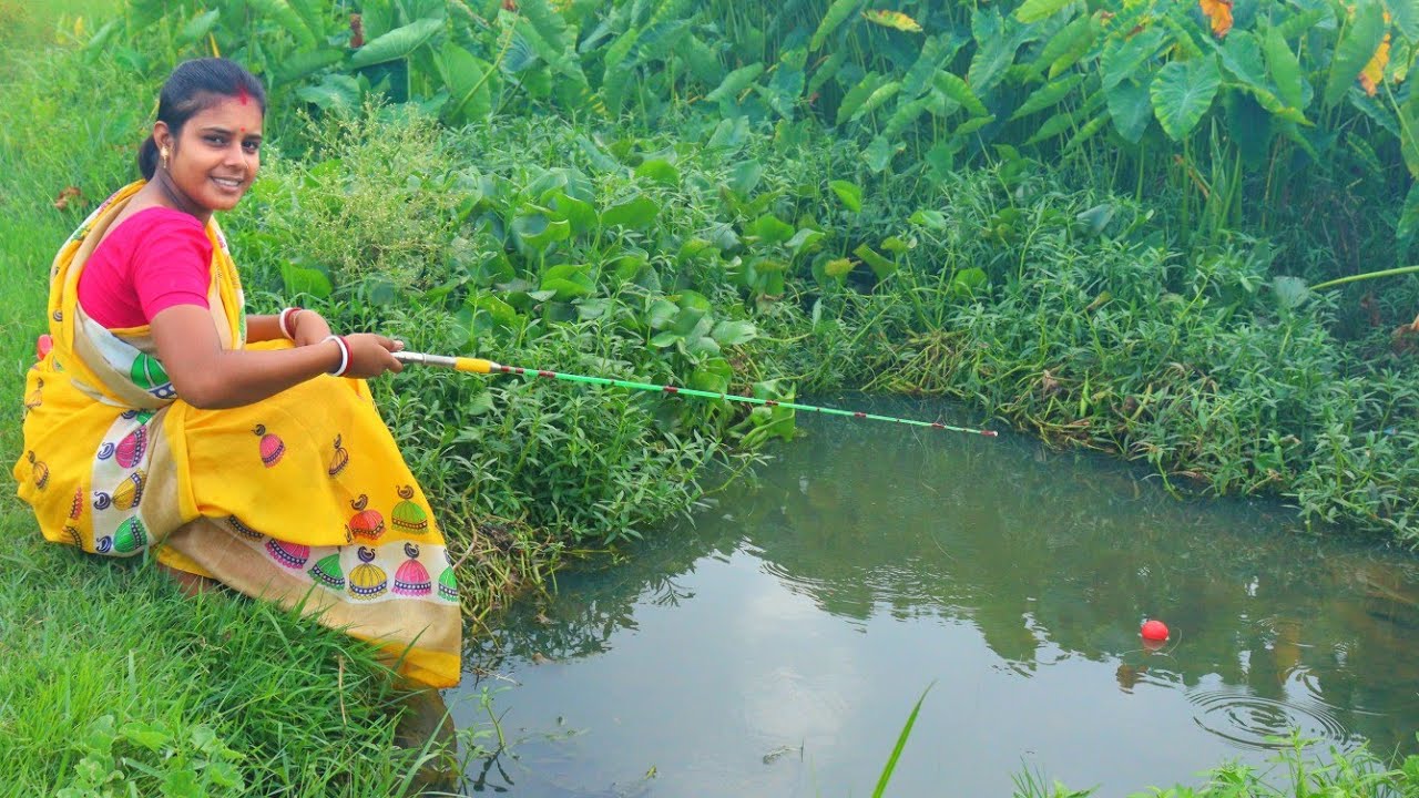 Fishing video !! Best Hook Fishing in paddy field !! lady caught fish ...