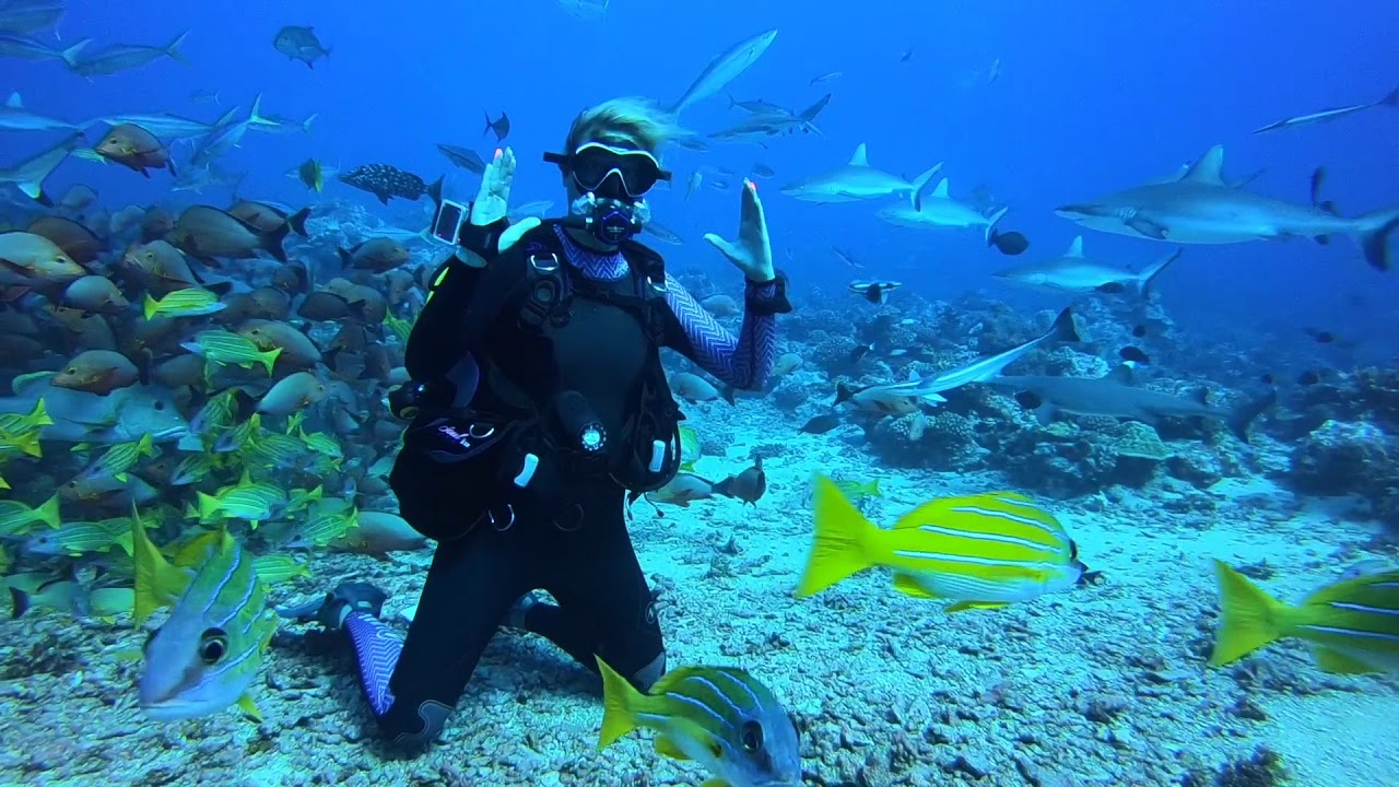 Diving at White Valley in Tahiti - YouTube