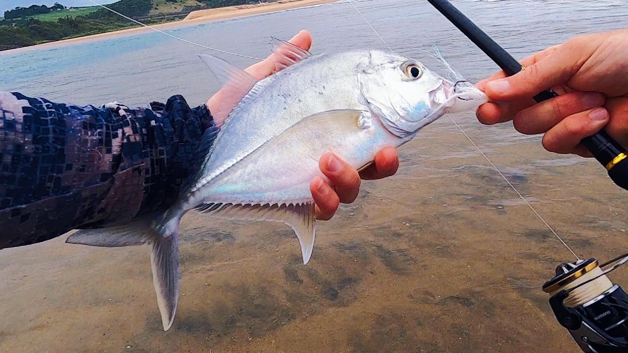Sunday Sessions, Fishing, Multi Species, Durban, South Africa - YouTube