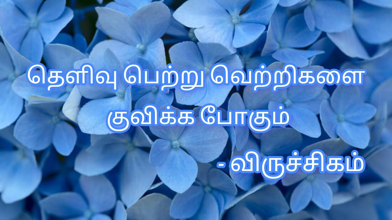 viruchigam | விருச்சிகம் | Scorpio horoscope predictions - 2024 - YouTube