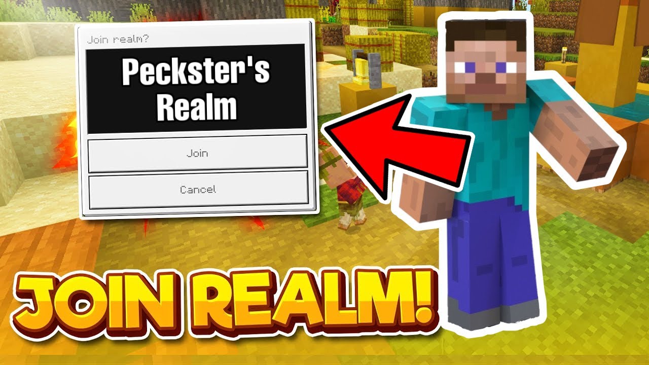 So I Started A Public Minecraft Realm with Subscribers... - YouTube