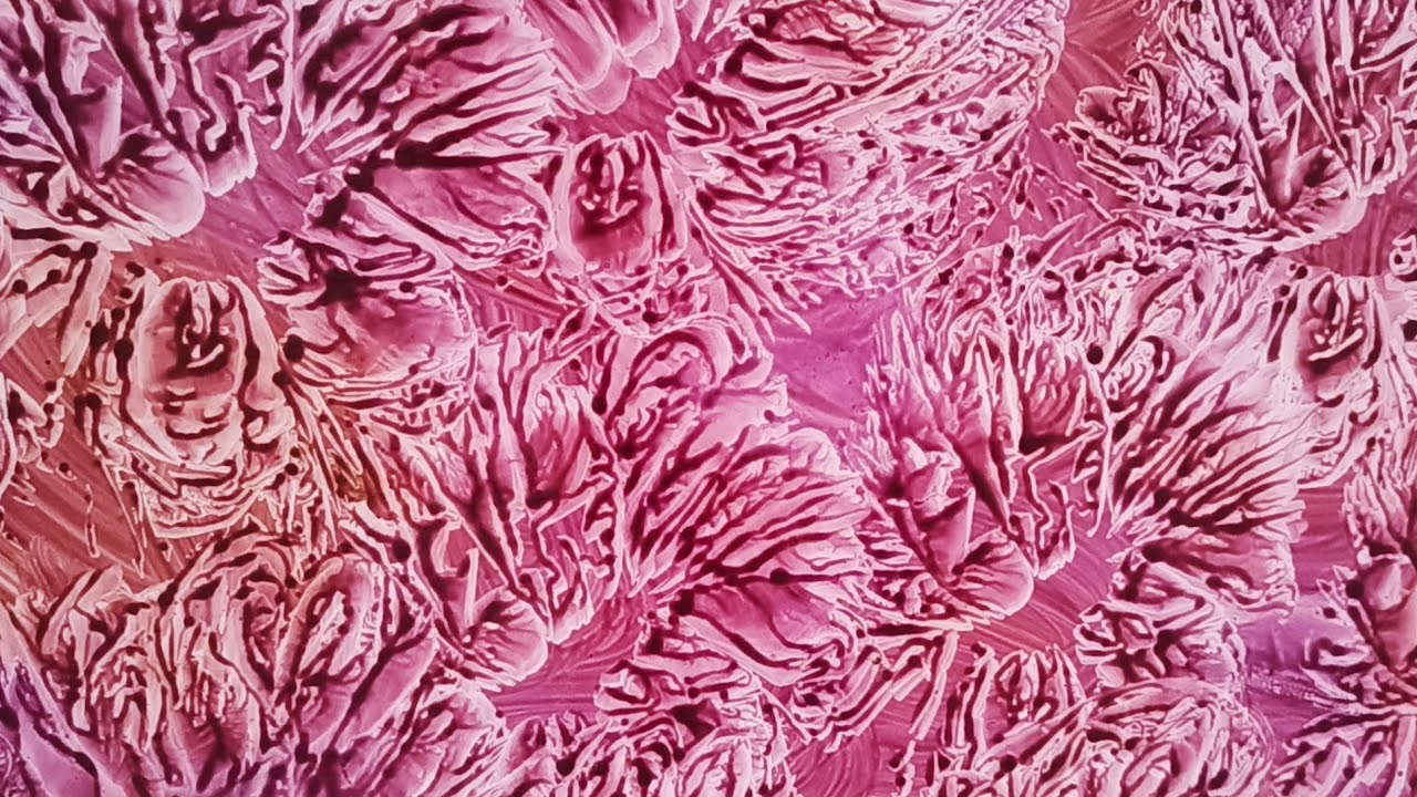 Royal Play Texture Design | New Wall Texture | How To Make Royal Play ...