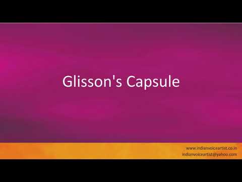 Pronunciation of the word(s) "Glisson's Capsule". - YouTube