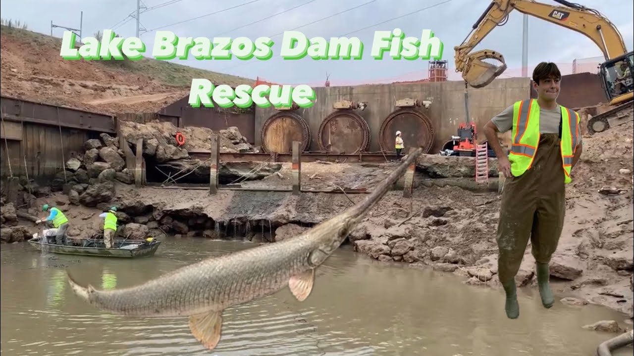 Rescuing Fish at the Lake Brazos Dam - YouTube