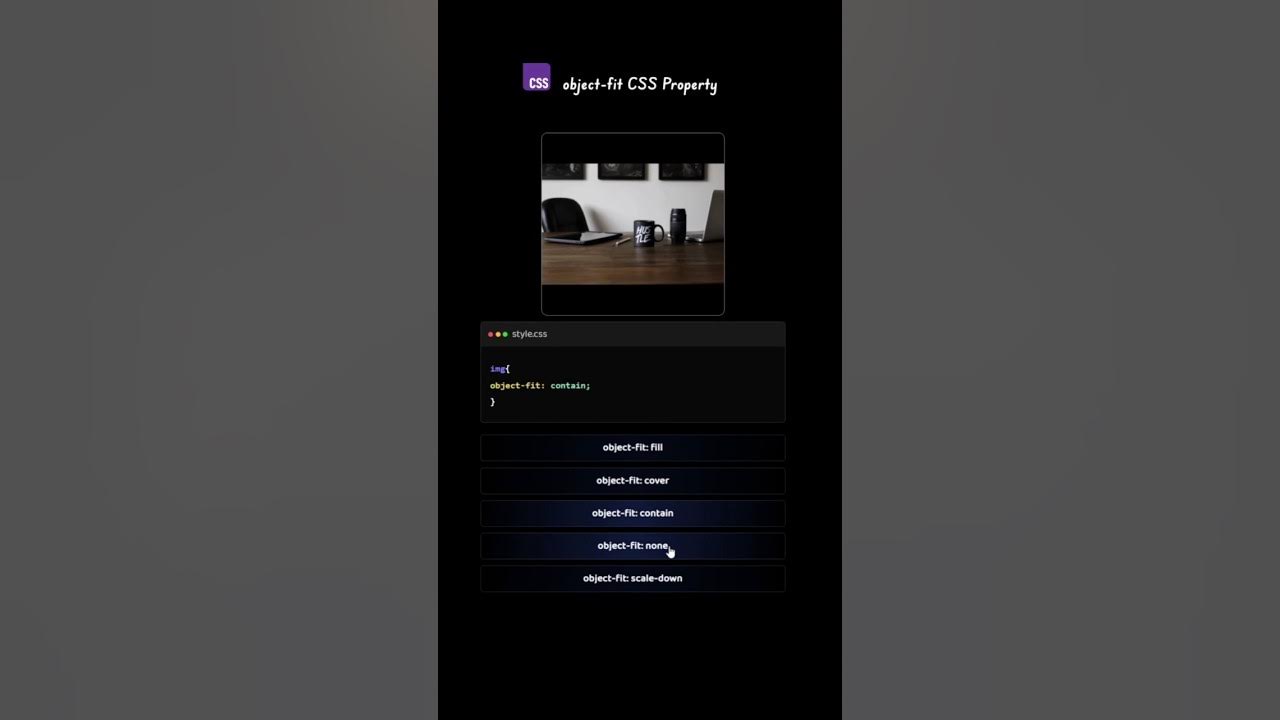 Object fit CSS property #css #webdesign - YouTube