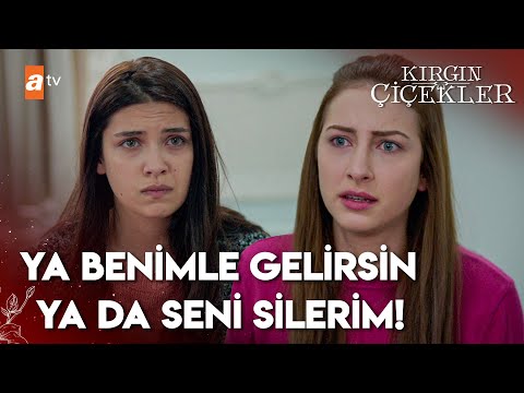Cemre, Eylül'ü arkadaşlığını bitirmekle tehdit ediyor! | Kırgın Çiçekler 39.  Bölüm