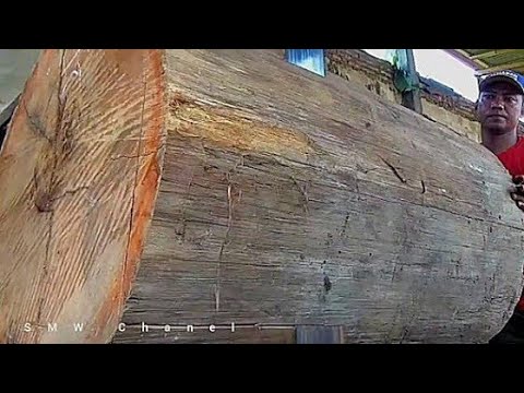 Incredible Giant Logs Sawed And Cut In Wood Processing Factory ...