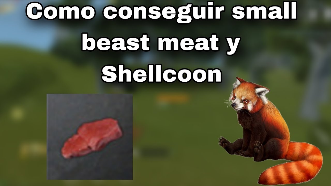 [GUÍA] - Como conseguir Small beast meat y shellcons en chimeraland ...