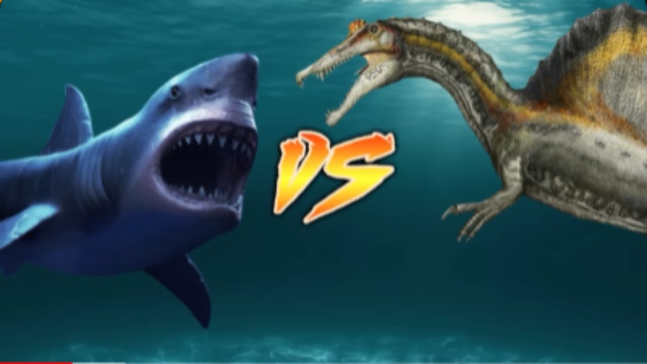 Mega Dinosaurs Review: Megalodon vs Spinosaurus - YouTube