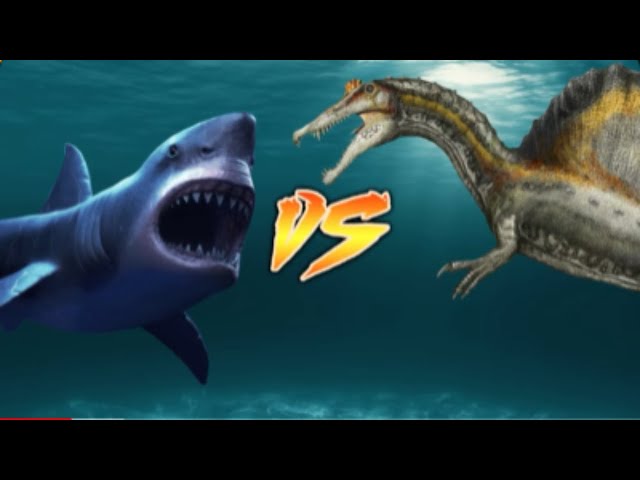 Megalodon Vs Spinosaurus
