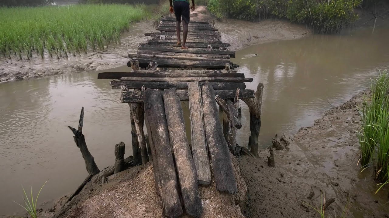 Fogo no Lodo | Fire in the Mud - Trailer - YouTube