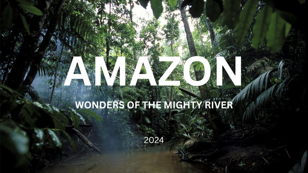 Journey Into the Wild: Exploring the Untamed Wonders of the Amazon ...