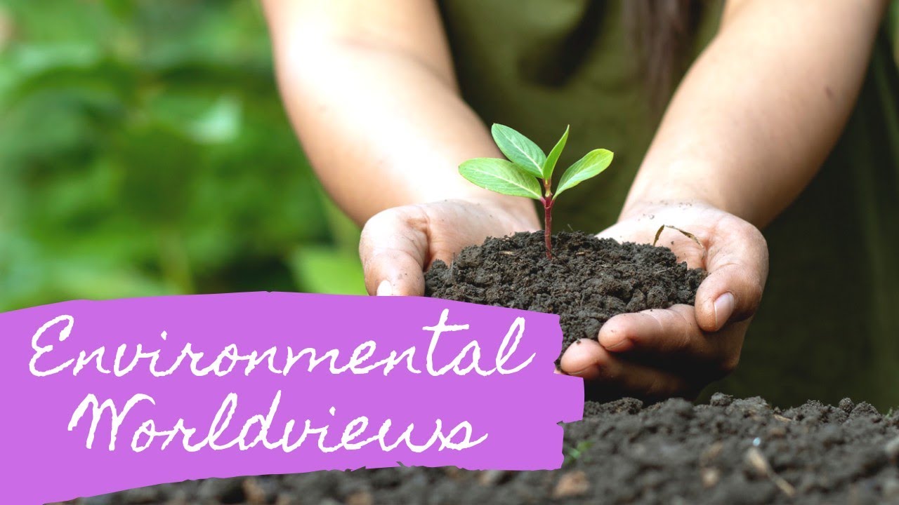 ENVIRONMENTAL WORLDVIEWS | Environmental Science Grade 7 for Fourth ...