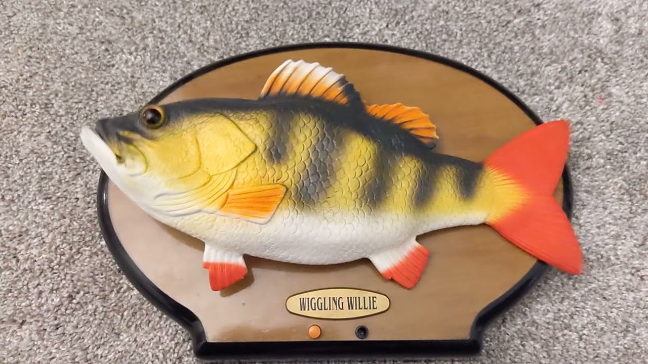 READ DESC wiggling willie singing fish - YouTube