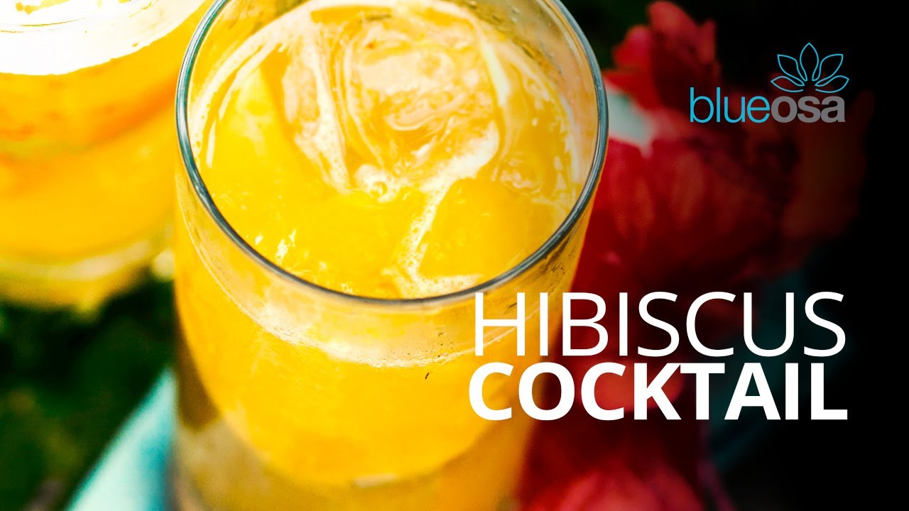 How to make Costa Rican Cocktails || Hibiscus Cocktail - YouTube