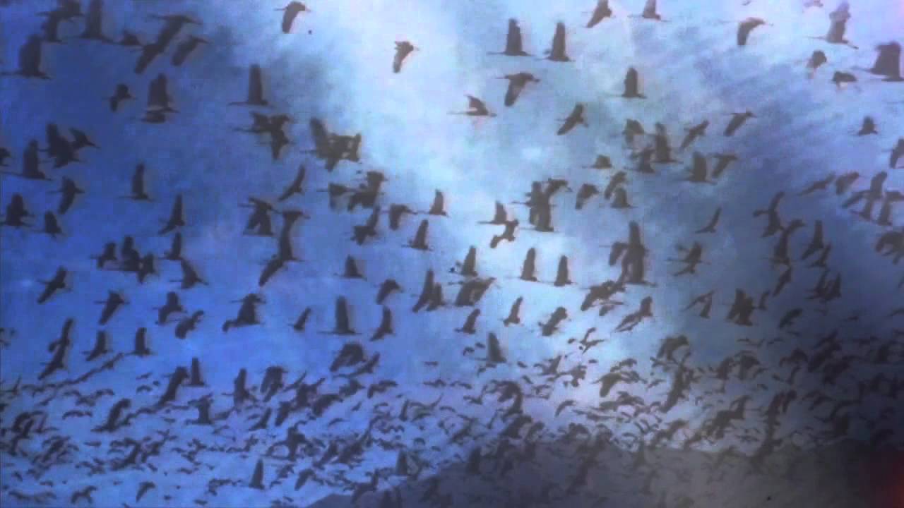 Apache Beat - Tracing Sky - YouTube