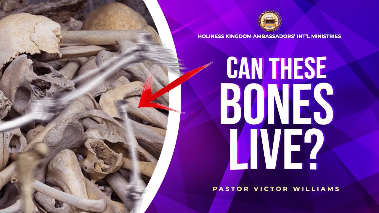 IT WILL SURPRISE YOU WHAT HAPPENED NEXT😱 || CAN THESE BONES LIVE? {MUST ...