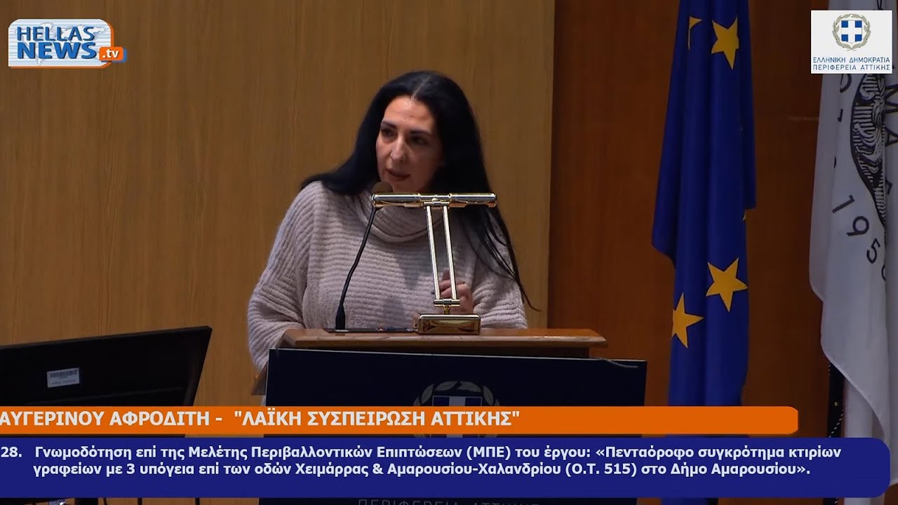Παρέμβαση της Αφρ. Αυγερινού στο Περιφερειακό Συμβούλιο - YouTube