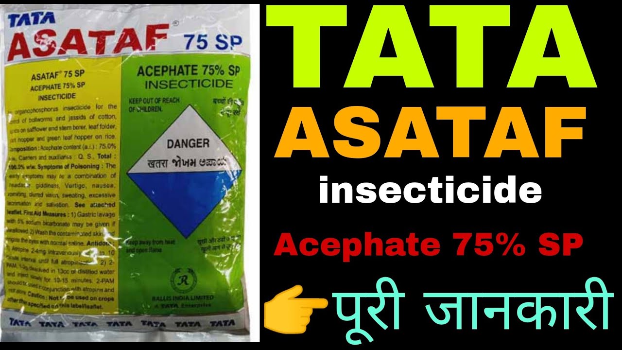 Tata ASATAF Acephate 75% SP Insecticide All Informatiom @kisandarshan ...