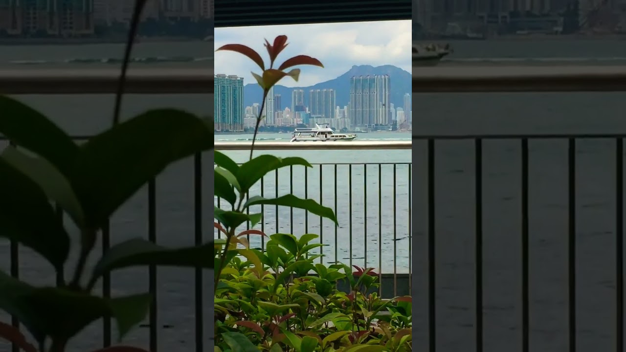 Hot Morning walk at North Point Pier #short #shorts #hongkong - YouTube