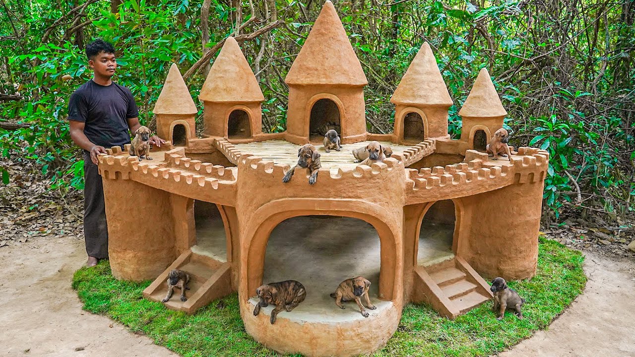 Dog rescue and build Castle Dog House - Build House for Puppies - YouTube