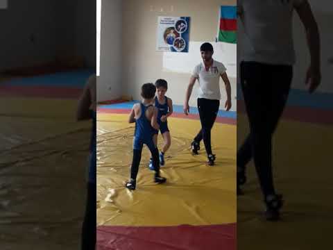 Lakamativ gules ( Eliyev Mehemmed)