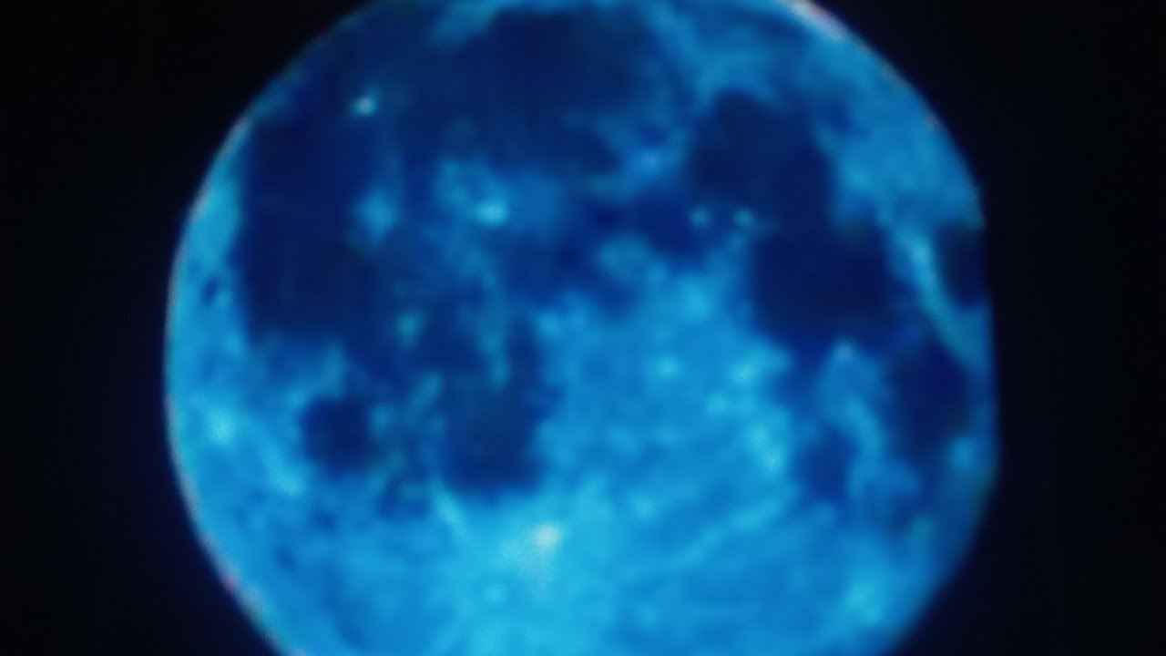 blue moon lyrics - YouTube