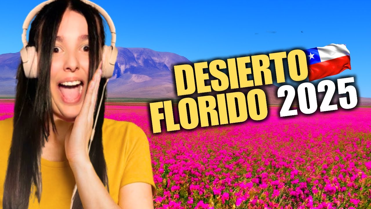 ¡Desierto Florido 2025! El espectáculo MÁS HERMOSO de Chile 🇨🇱 - YouTube