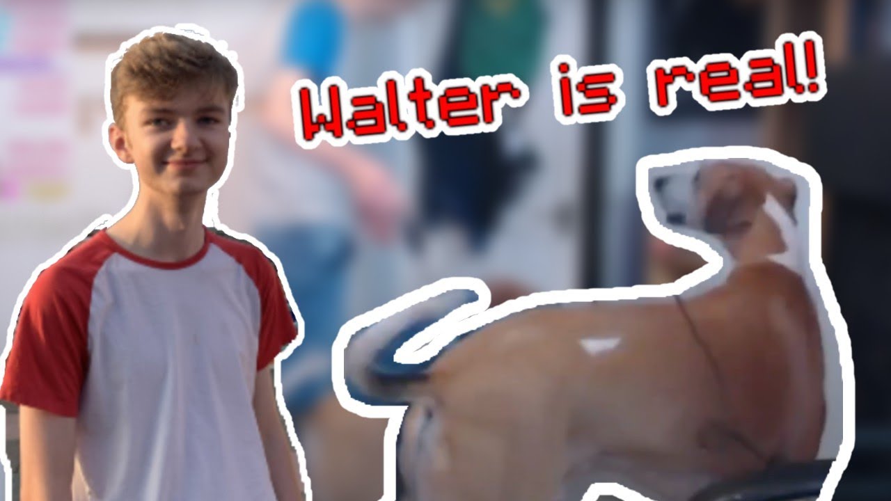 Tommyinnit's WALTER Reveal (dog) - YouTube