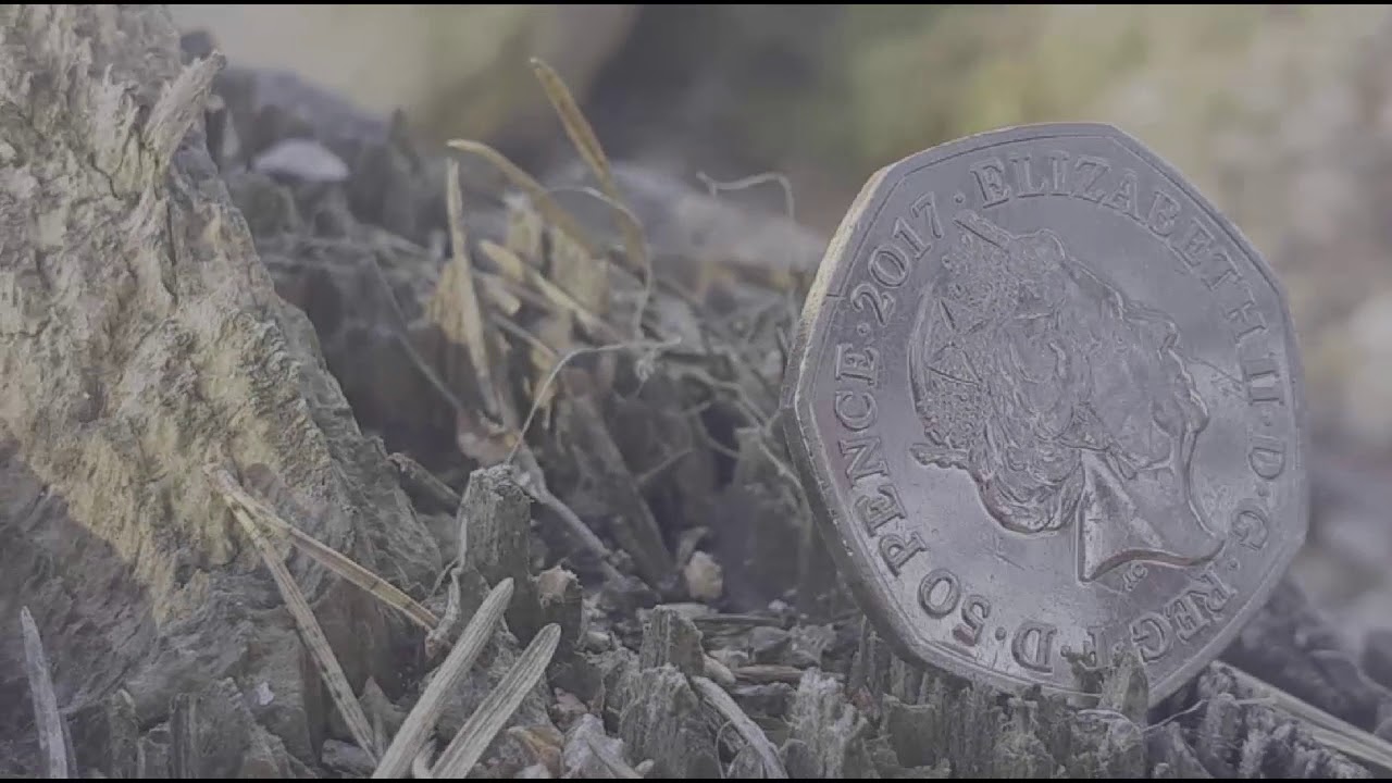Tom Kitten 50 Pence - YouTube