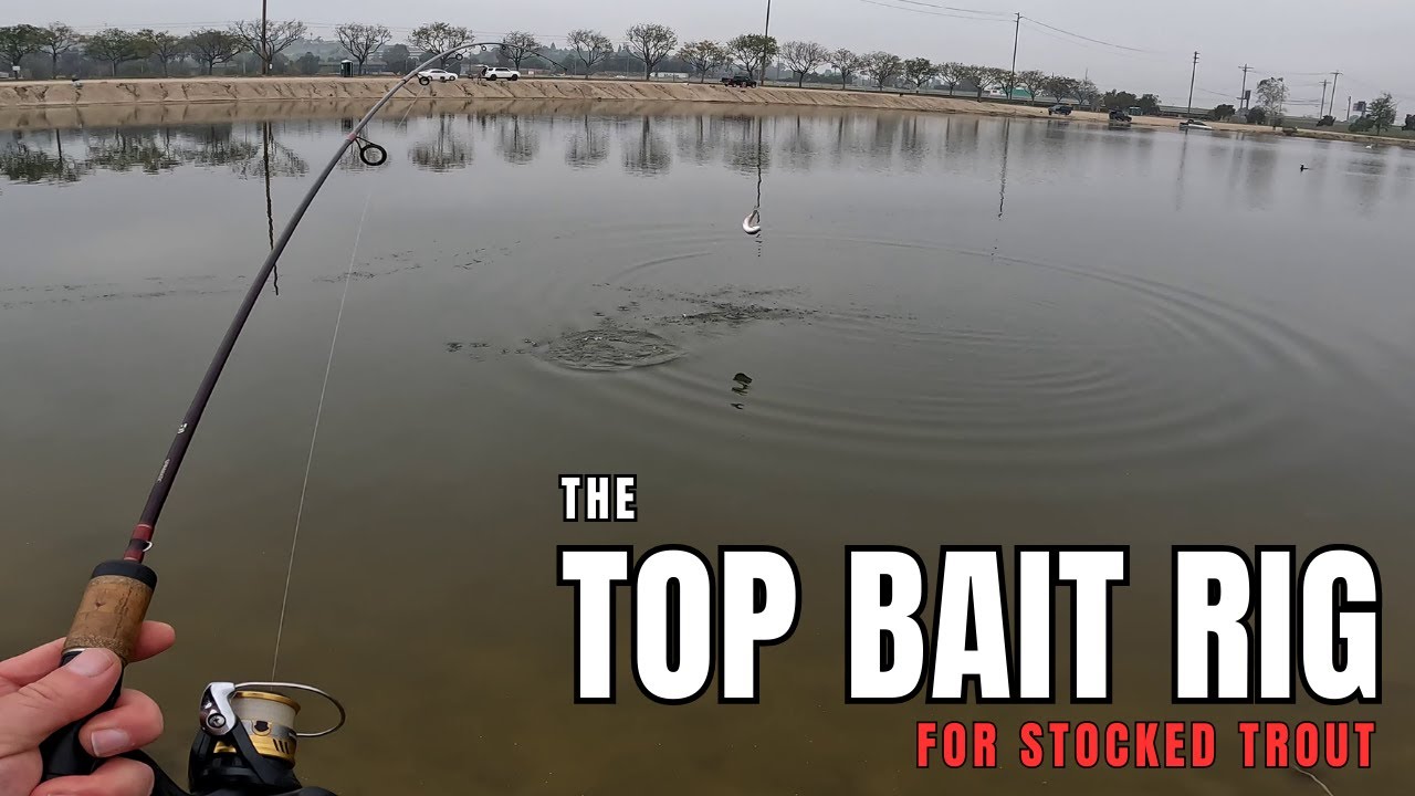 The Top Bait Rig For Catching Stocked Trout - YouTube