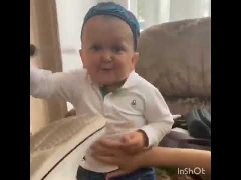 Hasbulla- The One Man Army - YouTube