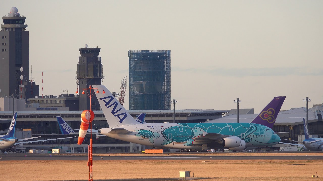 ANA AirBus A388 Wrapt up in Honu,Sea-Turtle,Making A Dynamic Landing ...