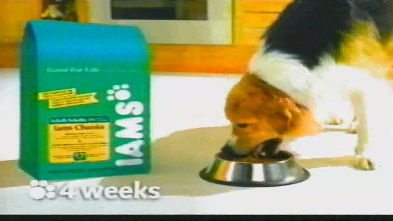 IAMS "Good For Life" (2004) Dog Food Ad Commercial - YouTube