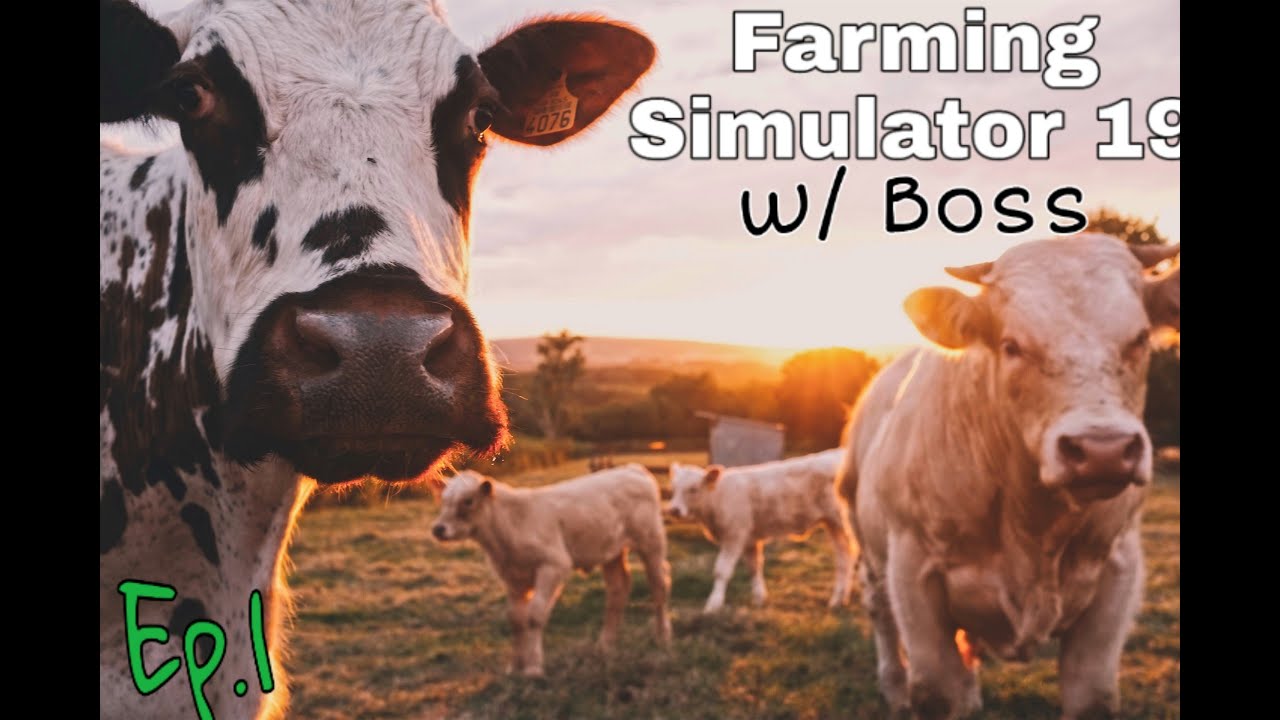 Farming Simulator 19 [Ep1] [Buying Cattle] - YouTube