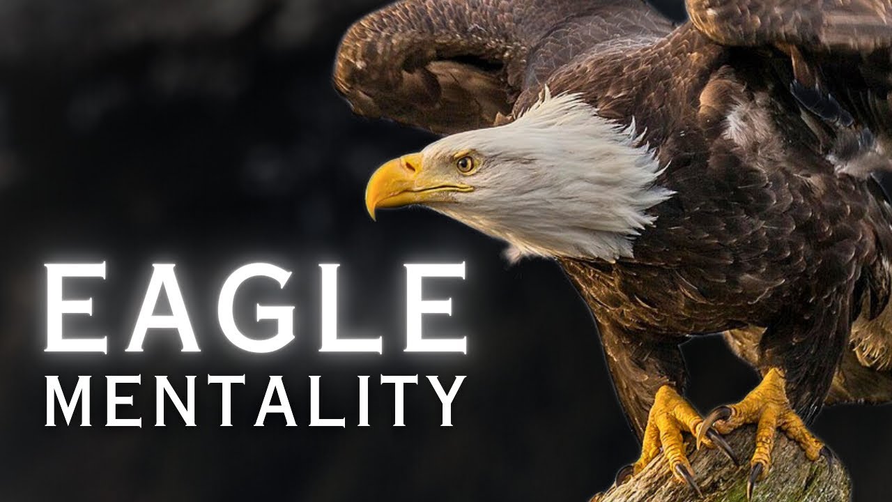 EAGLE MENTALITY - Motivation To Build A Strong Mindset - YouTube