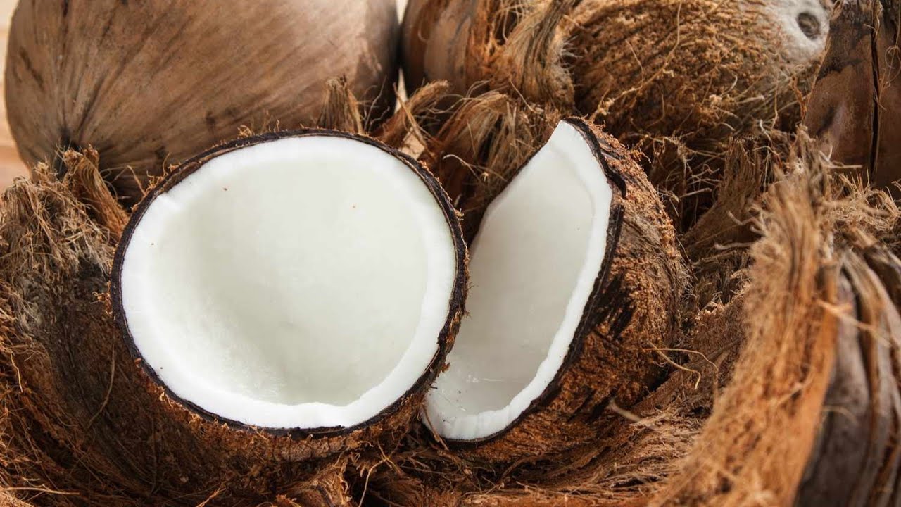 You Won't Believe the Hidden Connection Between Coconut and Prosperity ...